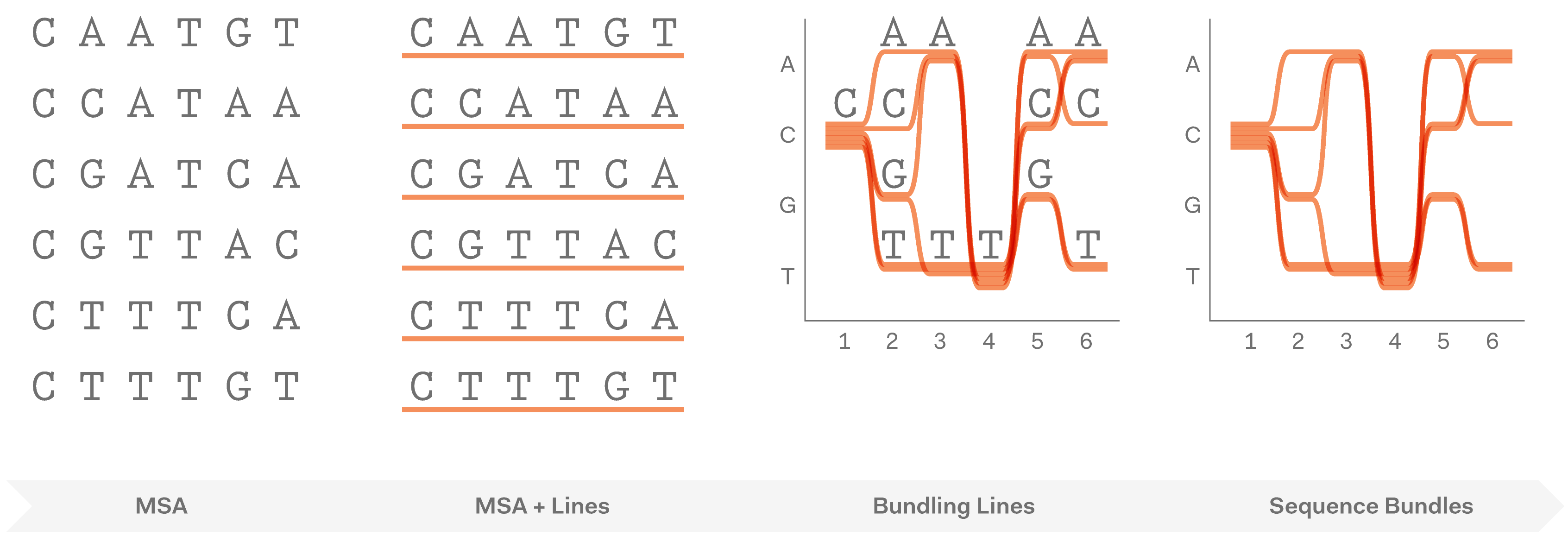 Sequence Bundles | Science Practice Sequence Bundles | Science Practice